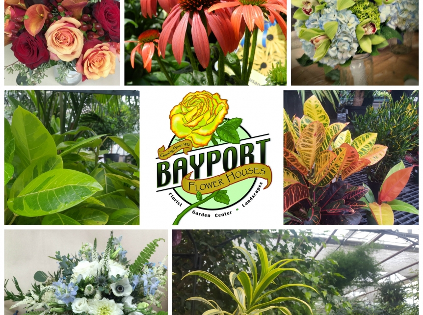 Bayport Flower